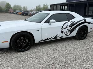 Balts Dodge Challenger 2021 Kretinga, ar dzinēja tilpumu 5.70 L un nobraukumu 88 tūkst. km par 22900 €, foto 3 vietnē AUTOMOTO.COM.LV