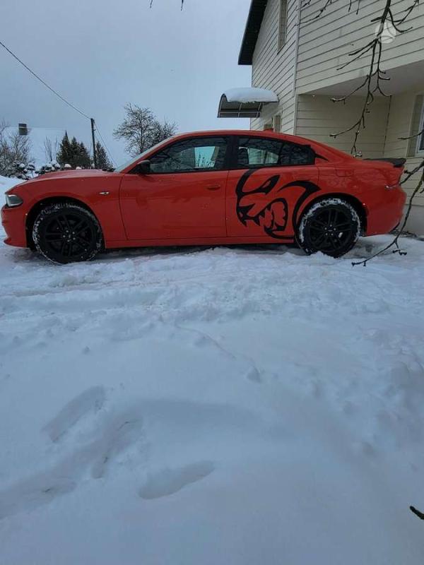 Oranžs Dodge Charger 2019 Kauņa, ar dzinēja tilpumu 3.60 L un nobraukumu 51 tūkst. km par 19200 €, foto 8 vietnē AUTOMOTO.COM.LV