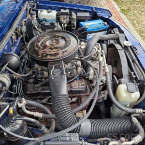 Zils Dodge Dakota 1994 Daugavpils, ar dzinēja tilpumu 5.20 L un nobraukumu 32 tūkst. km par 3900 €, foto 15 vietnē AUTOMOTO.COM.LV