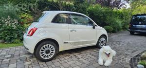 Balts Fiat 500 2019 Jūrmala, ar dzinēja tilpumu 1.20 L un nobraukumu 50 tūkst. km par 8500 €, foto  vietnē AUTOMOTO.COM.LV