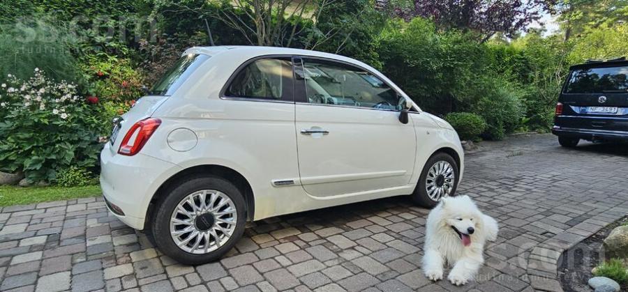 White Fiat 500 2019 in Jurmala, with an engine capacity of 1.20 L and mileage of 50 thousand km for 8500 €, photo 1 on AUTOMOTO.COM.LV