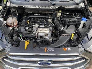 Grey Ford EcoSport 2019 in Klaipeda, with an engine capacity of 1.00 L and mileage of 83 thousand km for 9999 €, photo 20 on AUTOMOTO.COM.LV