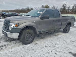 Pelēks Ford F-150 2011 Šauļi, ar dzinēja tilpumu 3.70 L un nobraukumu 345 tūkst. km par 6050 €, foto 29 vietnē AUTOMOTO.COM.LV