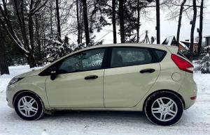 Zaļš Ford Fiesta 2009 Šauļi, ar dzinēja tilpumu 1.40 L un nobraukumu 214 tūkst. km par 2200 €, foto 6 vietnē AUTOMOTO.COM.LV