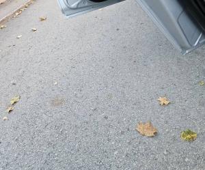 Grey Ford Focus 2012 in Jekabpils, with an engine capacity of 1.60 L and mileage of 291 thousand km for 4490 €, photo 14 on AUTOMOTO.COM.LV