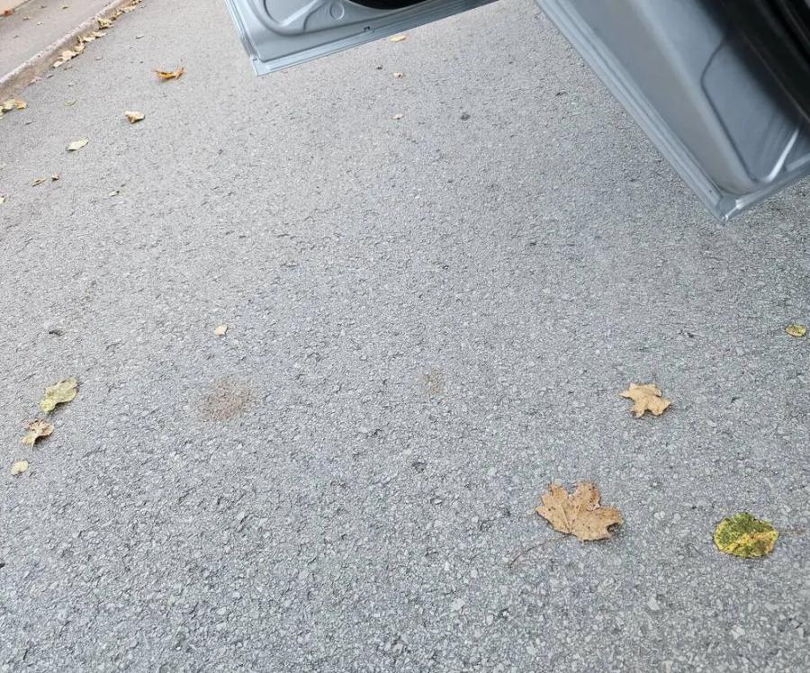 Grey Ford Focus 2012 in Jekabpils, with an engine capacity of 1.60 L and mileage of 291 thousand km for 4490 €, photo 14 on AUTOMOTO.COM.LV
