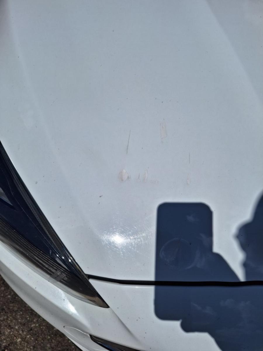 Ford Focus 2017 Tallina, ar dzinēja tilpumu 1.50 L un nobraukumu 362 tūkst. km par 4600 €, foto 30 vietnē AUTOMOTO.COM.LV