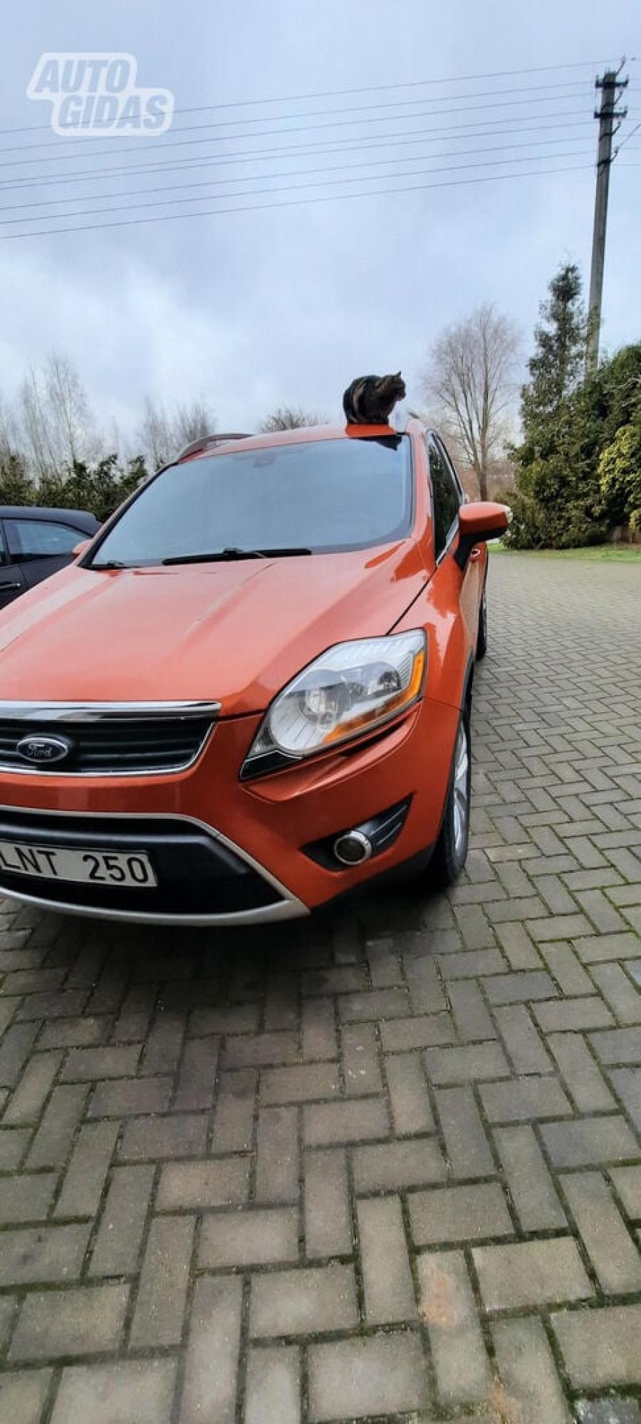 Ford Kuga 2011 Panevēža, ar dzinēja tilpumu 2.00 L un nobraukumu 344 tūkst. km par 3200 €, foto 11 vietnē AUTOMOTO.COM.LV