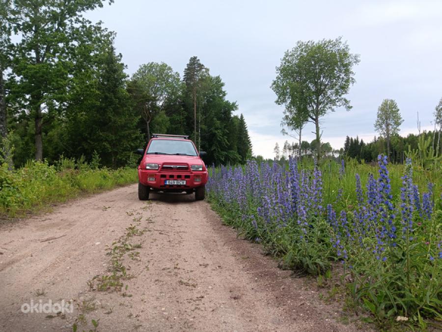 Sarkans Ford Maverick 1995 Tallina, ar dzinēja tilpumu 2.40 L un nobraukumu 231 tūkst. km par 3300 €, foto 3 vietnē AUTOMOTO.COM.LV