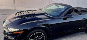 Black Ford Mustang 2019 in Kretinga, with an engine capacity of 2.25 L and mileage of 80 thousand km for 20999 €, photo 15 on AUTOMOTO.COM.LV