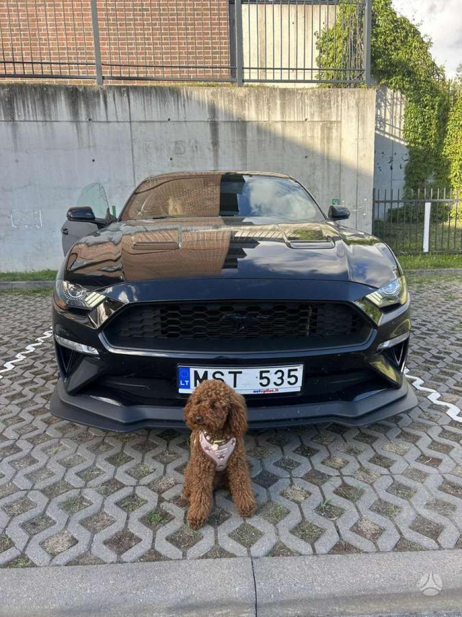 Melns Ford Mustang 2021 Viļņa, ar dzinēja tilpumu 2.25 L un nobraukumu 40 tūkst. km par 20000 €, foto 1 vietnē AUTOMOTO.COM.LV
