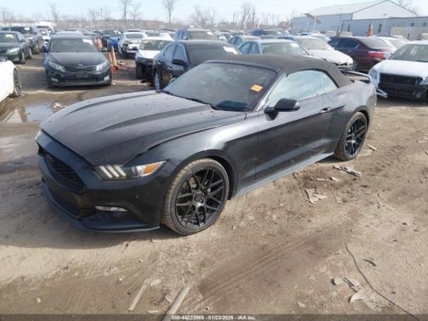 Ford Mustang 2015 Klaipėda, ar dzinēja tilpumu 0.00 L un nobraukumu 0 tūkst. km par 8000 €, foto 2 vietnē AUTOMOTO.COM.LV