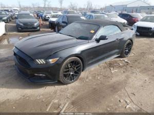 Ford Mustang 2015 Klaipėda, ar dzinēja tilpumu 0.00 L un nobraukumu 0 tūkst. km par 8000 €, foto 2 vietnē AUTOMOTO.COM.LV