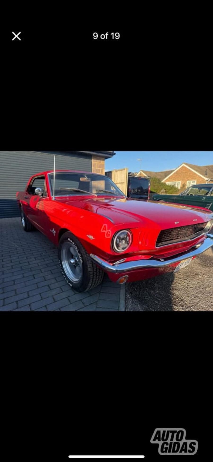 Ford Mustang 1966 Alīta, ar dzinēja tilpumu 4.70 L un nobraukumu 41 tūkst. km par 25000 €, foto 7 vietnē AUTOMOTO.COM.LV
