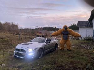Pelēks Ford Mustang 2016 Viļņa, ar dzinēja tilpumu 3.70 L un nobraukumu 75 tūkst. km par 22500 €, foto  vietnē AUTOMOTO.COM.LV