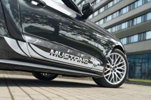 Grey Ford Mustang 2016 in Klaipeda, with an engine capacity of 5.00 L and mileage of 97 thousand km for 23999 €, photo 18 on AUTOMOTO.COM.LV