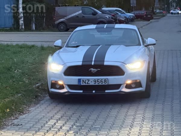 Pelēks Ford Mustang 2016 Rīga, ar dzinēja tilpumu 2.30 L un nobraukumu 71 tūkst. km par 32000 €, foto 3 vietnē AUTOMOTO.COM.LV