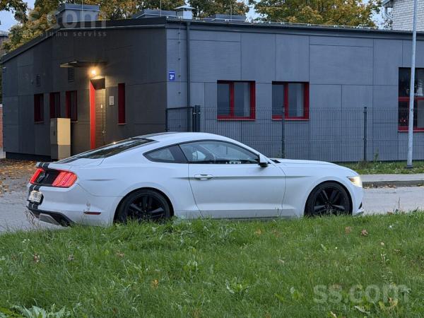Pelēks Ford Mustang 2016 Rīga, ar dzinēja tilpumu 2.30 L un nobraukumu 71 tūkst. km par 32000 €, foto 4 vietnē AUTOMOTO.COM.LV
