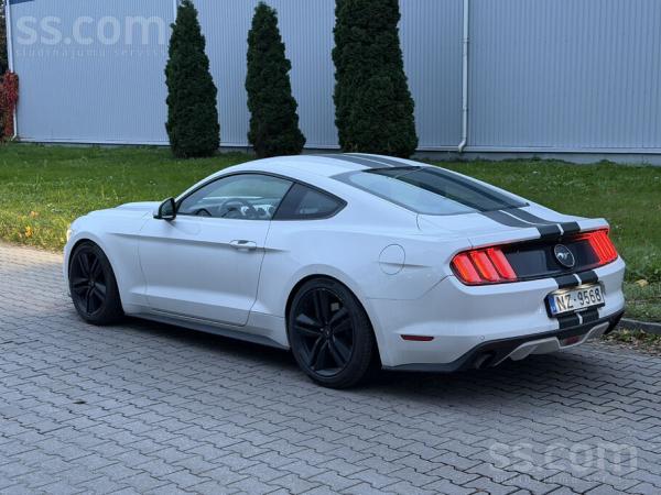 Pelēks Ford Mustang 2016 Rīga, ar dzinēja tilpumu 2.30 L un nobraukumu 71 tūkst. km par 32000 €, foto 5 vietnē AUTOMOTO.COM.LV