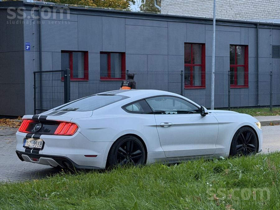 Pelēks Ford Mustang 2016 Rīga, ar dzinēja tilpumu 2.30 L un nobraukumu 71 tūkst. km par 32000 €, foto 11 vietnē AUTOMOTO.COM.LV