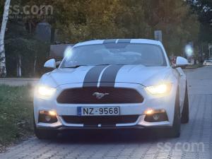 Pelēks Ford Mustang 2016 Rīga, ar dzinēja tilpumu 2.30 L un nobraukumu 71 tūkst. km par 32000 €, foto 36 vietnē AUTOMOTO.COM.LV