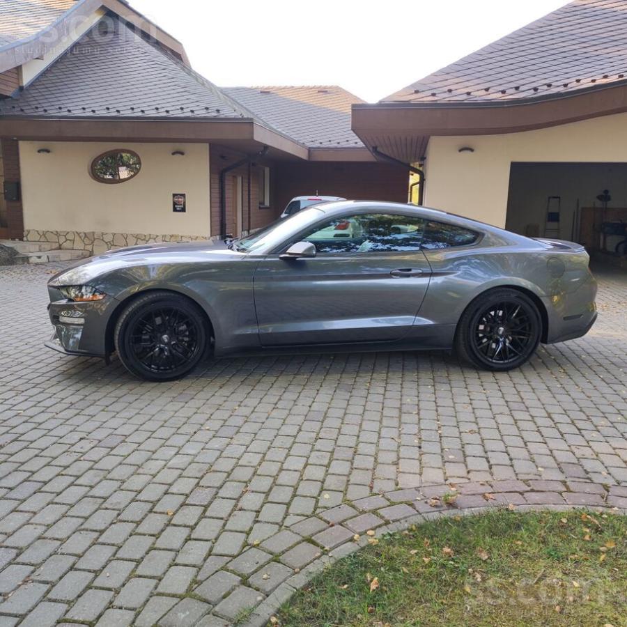 Grey Ford Mustang 2017 in Cesis, with an engine capacity of 2.30 L and mileage of 115 thousand km for 21990 €, photo 18 on AUTOMOTO.COM.LV