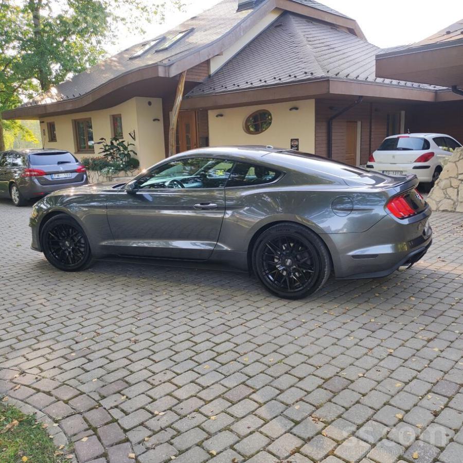 Grey Ford Mustang 2017 in Cesis, with an engine capacity of 2.30 L and mileage of 115 thousand km for 21990 €, photo 19 on AUTOMOTO.COM.LV