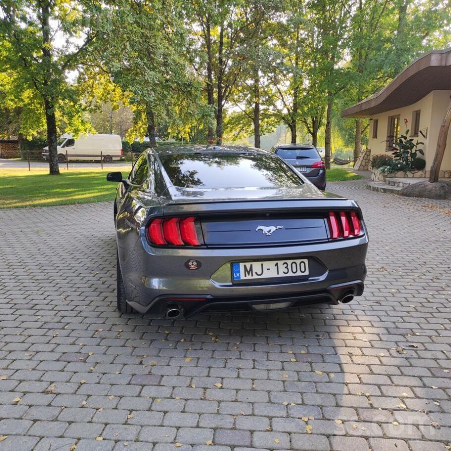 Grey Ford Mustang 2017 in Cesis, with an engine capacity of 2.30 L and mileage of 115 thousand km for 21990 €, photo 20 on AUTOMOTO.COM.LV