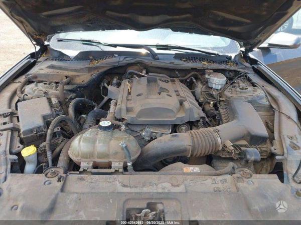 Grey Ford Mustang 2018 in Klaipeda, with an engine capacity of 2.25 L and mileage of 164 thousand km for 7900 €, photo 7 on AUTOMOTO.COM.LV