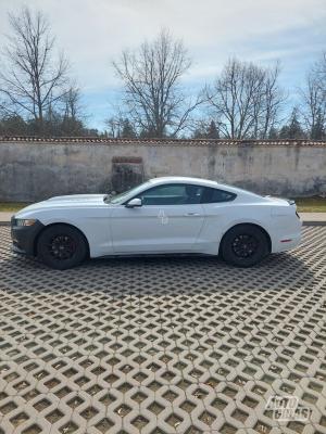Ford Mustang 2015 Kauņa, ar dzinēja tilpumu 2.30 L un nobraukumu 169 tūkst. km par 11300 €, foto 7 vietnē AUTOMOTO.COM.LV