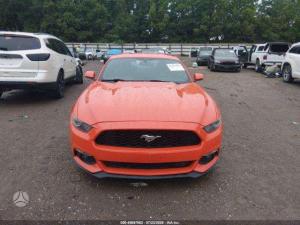 Oranžs Ford Mustang 2016 Klaipėda, ar dzinēja tilpumu 2.30 L un nobraukumu 220 tūkst. km par 8000 €, foto 3 vietnē AUTOMOTO.COM.LV
