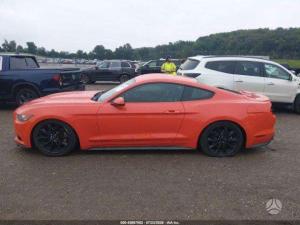 Oranžs Ford Mustang 2016 Klaipėda, ar dzinēja tilpumu 2.30 L un nobraukumu 220 tūkst. km par 8000 €, foto 12 vietnē AUTOMOTO.COM.LV