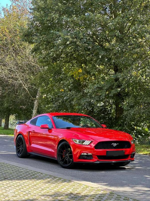 Ford Mustang 2015 Viļņa vietnē Sarkans Ford Mustang 2015 Viļņa, ar dzinēja tilpumu 2.26 L un nobraukumu 189 tūkst. km par 18000 €, foto 1 vietnē AUTOMOTO.COM.LV