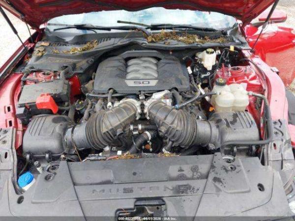 Sarkans Ford Mustang 2024 Klaipėda, ar dzinēja tilpumu 4.95 L un nobraukumu 60 tūkst. km par 15000 €, foto 10 vietnē AUTOMOTO.COM.LV