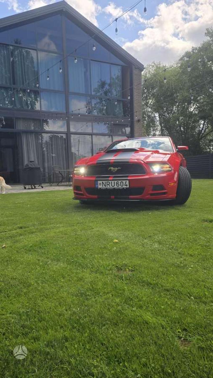 Sarkans Ford Mustang 2013 Viļņa, ar dzinēja tilpumu 3.70 L un nobraukumu 88 tūkst. km par 18500 €, foto 3 vietnē AUTOMOTO.COM.LV