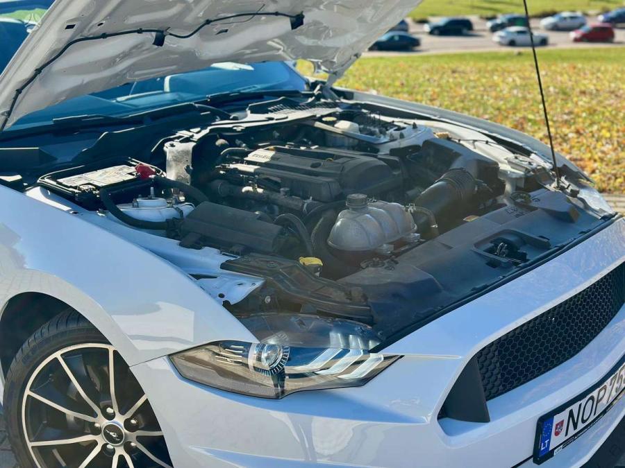 Balts Ford Mustang 2017 Viļņa, ar dzinēja tilpumu 2.26 L un nobraukumu 241 tūkst. km par 15600 €, foto 33 vietnē AUTOMOTO.COM.LV