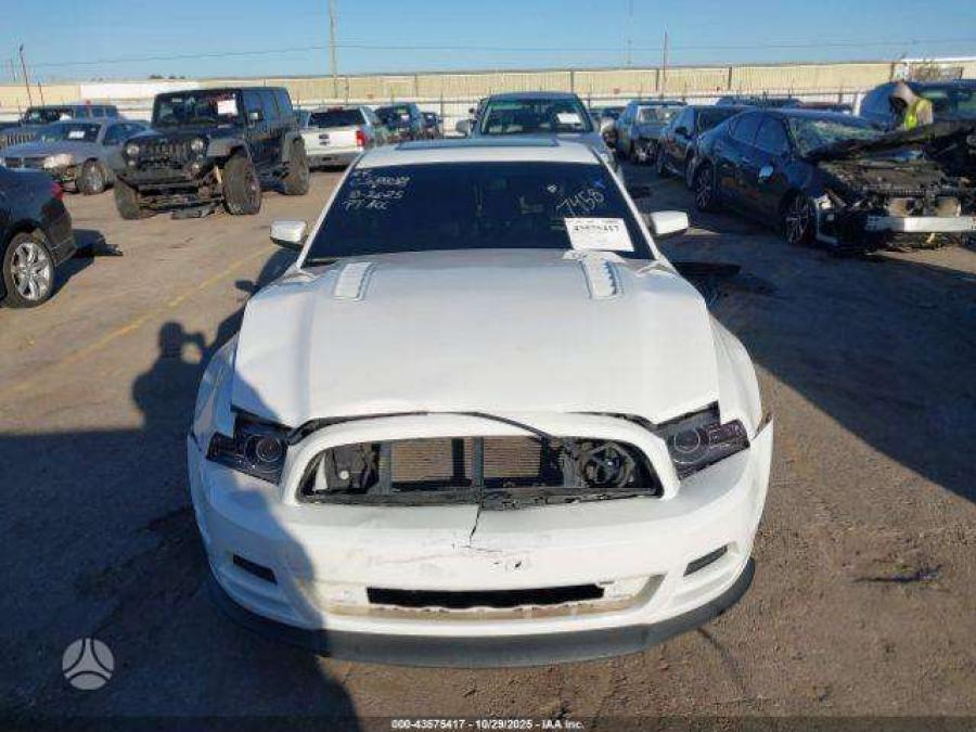 White Ford Mustang 2014 in Klaipeda, with an engine capacity of 4.95 L and mileage of 35 thousand km for 8100 €, photo 12 on AUTOMOTO.COM.LV