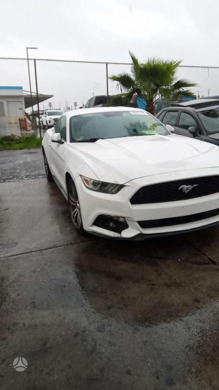 Balts Ford Mustang 2015 Viļņa, ar dzinēja tilpumu 2.26 L un nobraukumu 234 tūkst. km par 8850 €, foto 2 vietnē AUTOMOTO.COM.LV