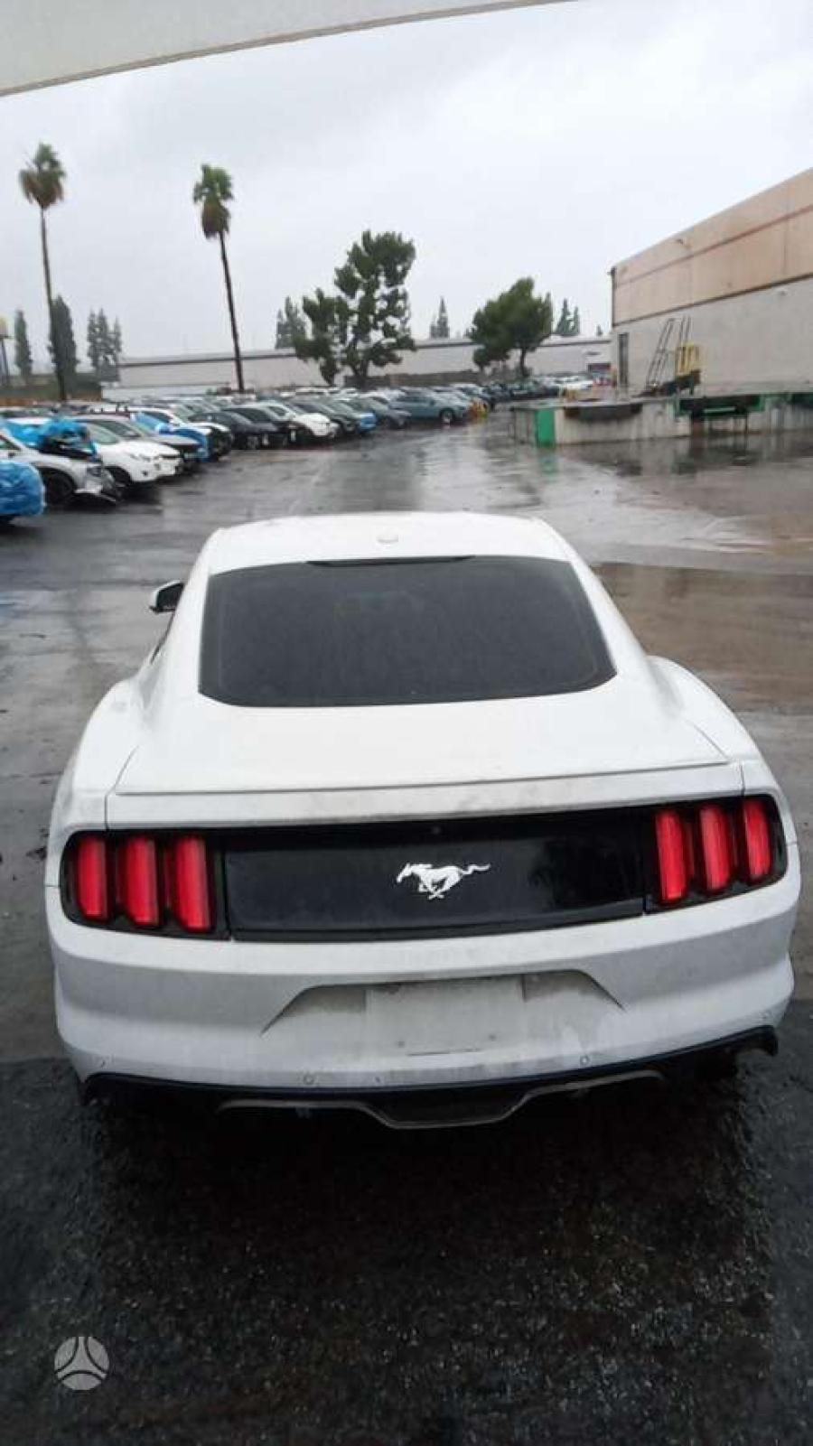 Balts Ford Mustang 2015 Viļņa, ar dzinēja tilpumu 2.26 L un nobraukumu 234 tūkst. km par 8850 €, foto 10 vietnē AUTOMOTO.COM.LV