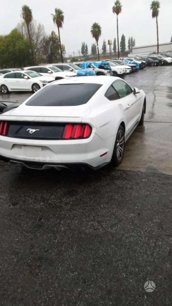 Balts Ford Mustang 2015 Viļņa, ar dzinēja tilpumu 2.26 L un nobraukumu 234 tūkst. km par 8850 €, foto 11 vietnē AUTOMOTO.COM.LV