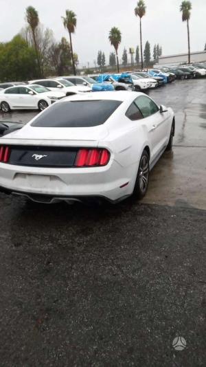 Balts Ford Mustang 2015 Viļņa, ar dzinēja tilpumu 2.26 L un nobraukumu 234 tūkst. km par 8850 €, foto 11 vietnē AUTOMOTO.COM.LV