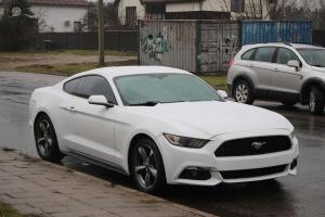 Balts Ford Mustang 2016 Viļņa, ar dzinēja tilpumu 2.26 L un nobraukumu 182 tūkst. km par 12800 €, foto 8 vietnē AUTOMOTO.COM.LV