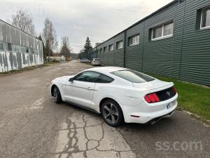 Balts Ford Mustang 2016 Rīga, ar dzinēja tilpumu 3.70 L un nobraukumu 56 tūkst. km par 10600 €, foto 7 vietnē AUTOMOTO.COM.LV