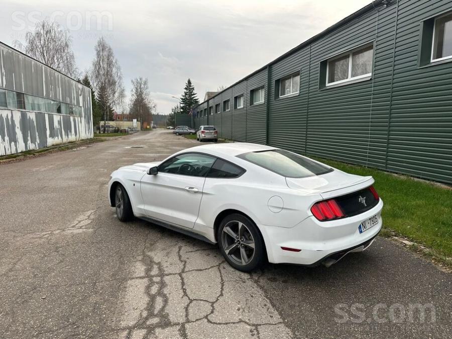 Balts Ford Mustang 2016 Rīga, ar dzinēja tilpumu 3.70 L un nobraukumu 56 tūkst. km par 10600 €, foto 7 vietnē AUTOMOTO.COM.LV
