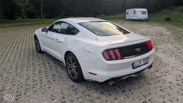 Balts Ford Mustang 2017 Viļņa, ar dzinēja tilpumu 2.30 L un nobraukumu 128 tūkst. km par 16500 €, foto 4 vietnē AUTOMOTO.COM.LV