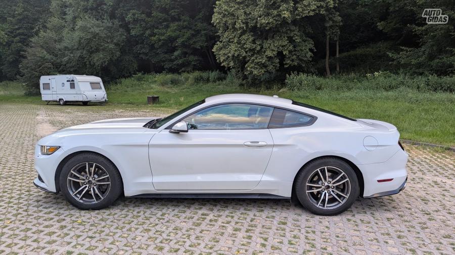 Balts Ford Mustang 2017 Viļņa, ar dzinēja tilpumu 2.30 L un nobraukumu 128 tūkst. km par 16500 €, foto 15 vietnē AUTOMOTO.COM.LV