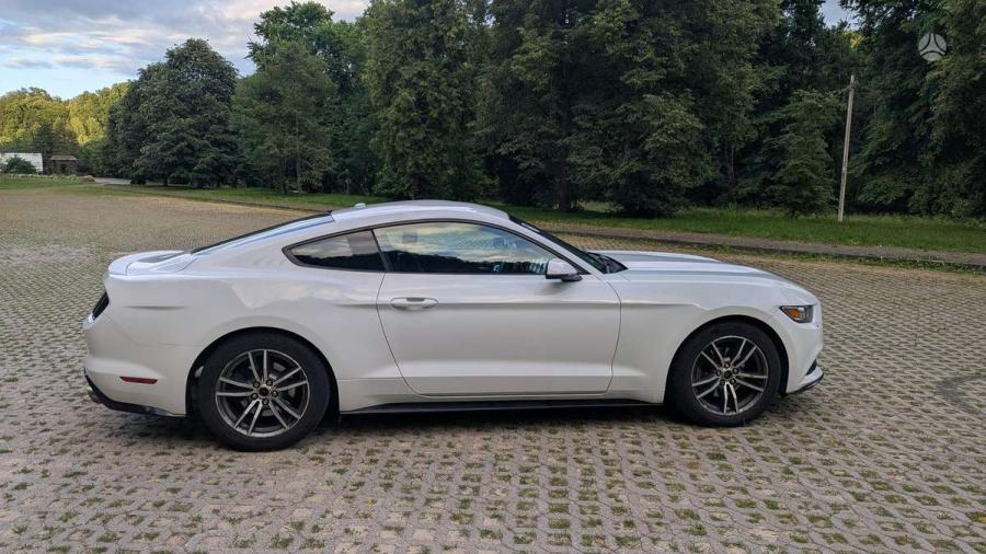 Balts Ford Mustang 2017 Viļņa, ar dzinēja tilpumu 2.30 L un nobraukumu 128 tūkst. km par 16200 €, foto 7 vietnē AUTOMOTO.COM.LV