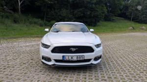 Balts Ford Mustang 2017 Viļņa, ar dzinēja tilpumu 2.30 L un nobraukumu 128 tūkst. km par 16200 €, foto 9 vietnē AUTOMOTO.COM.LV