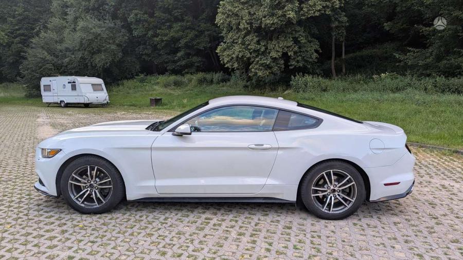 Balts Ford Mustang 2017 Viļņa, ar dzinēja tilpumu 2.30 L un nobraukumu 128 tūkst. km par 16200 €, foto 10 vietnē AUTOMOTO.COM.LV