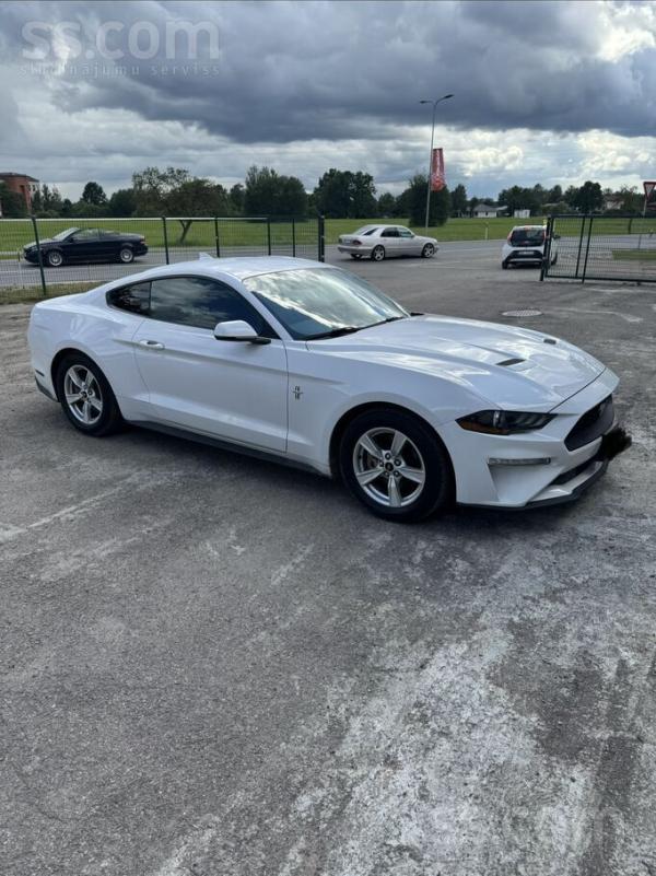 Balts Ford Mustang 2020 Ogre, ar dzinēja tilpumu 2.30 L un nobraukumu 38 tūkst. km par 22500 €, foto 1 vietnē AUTOMOTO.COM.LV